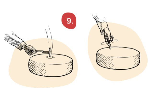 The Swiss Cheese Production |Swiss Cheeses