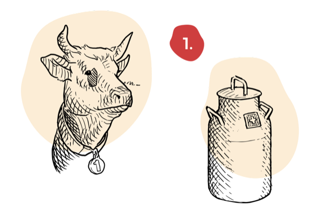 The Swiss Cheese Production |Swiss Cheeses